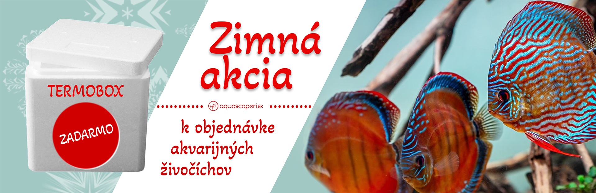 Akvaríjne ryby Rybky do akvária